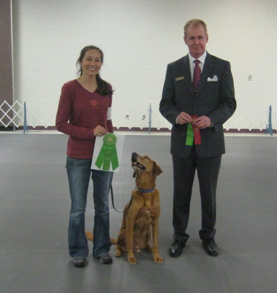 SMART DOGS – Better Behavior at BOTH Ends of the Leash