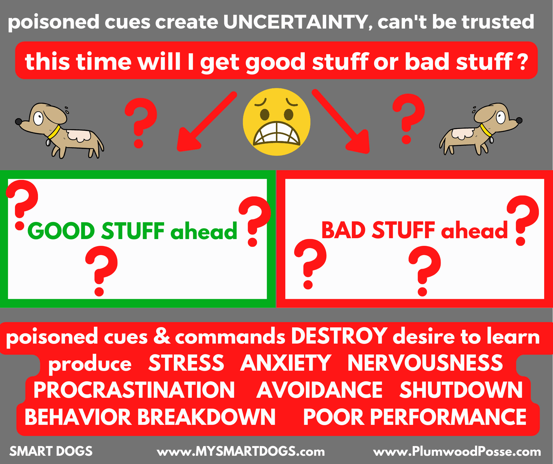 Revisiting Cues, Commands & Poisoned Cues – SMART DOGS