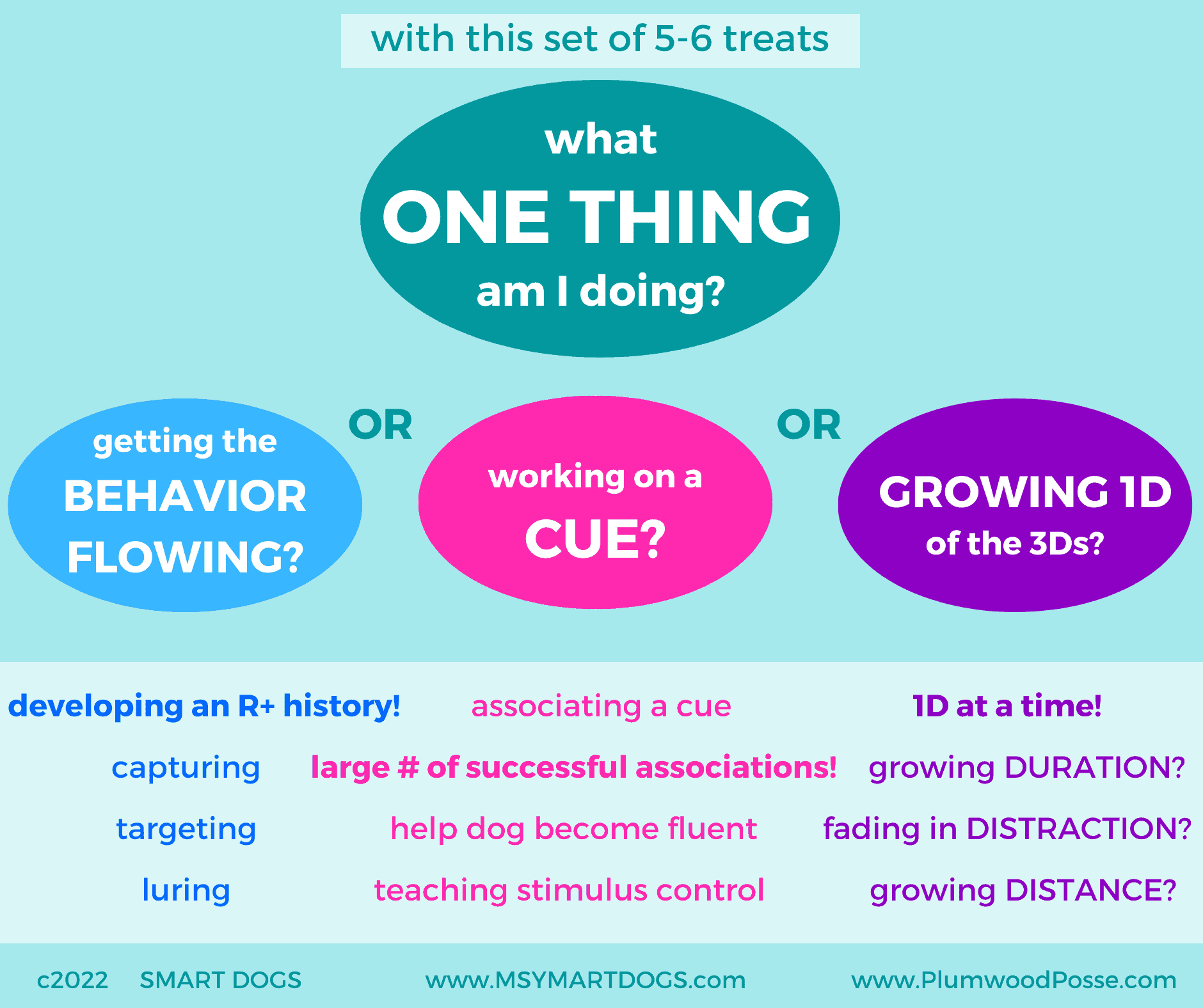 What ONE Thing? – SMART DOGS